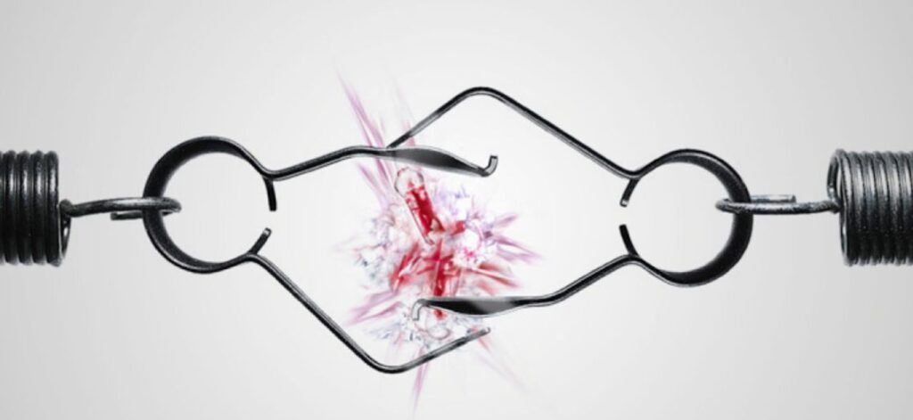 Thermo Bulb Link - JOB